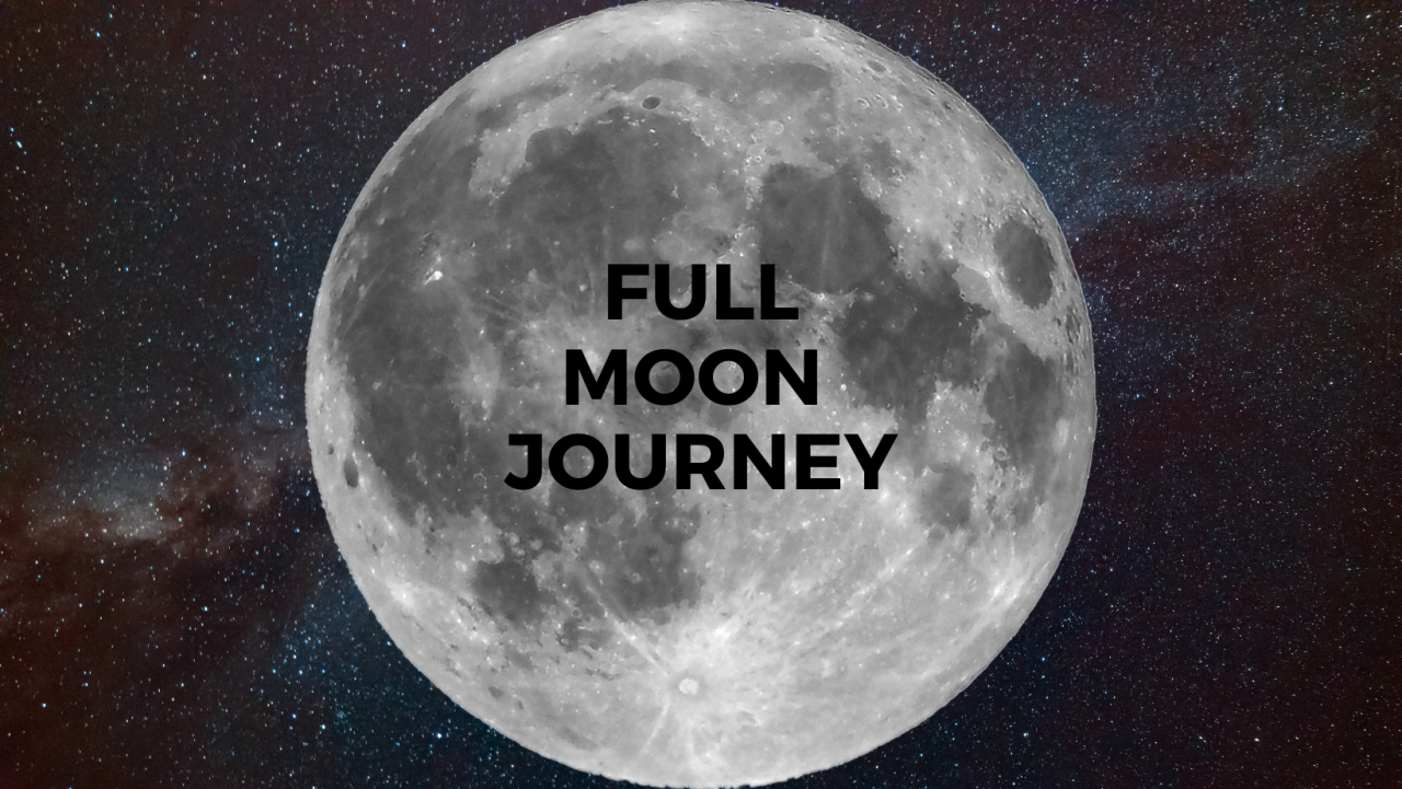 Full Moon Journey Goddess Medusa - Sarah Salter Kelly